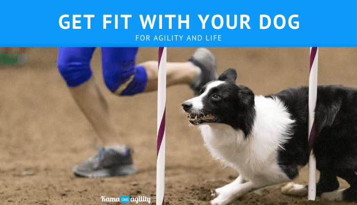 Dog Fitness Programs: Weight Loss, Health Trackers & Sports Gear - Pets ...