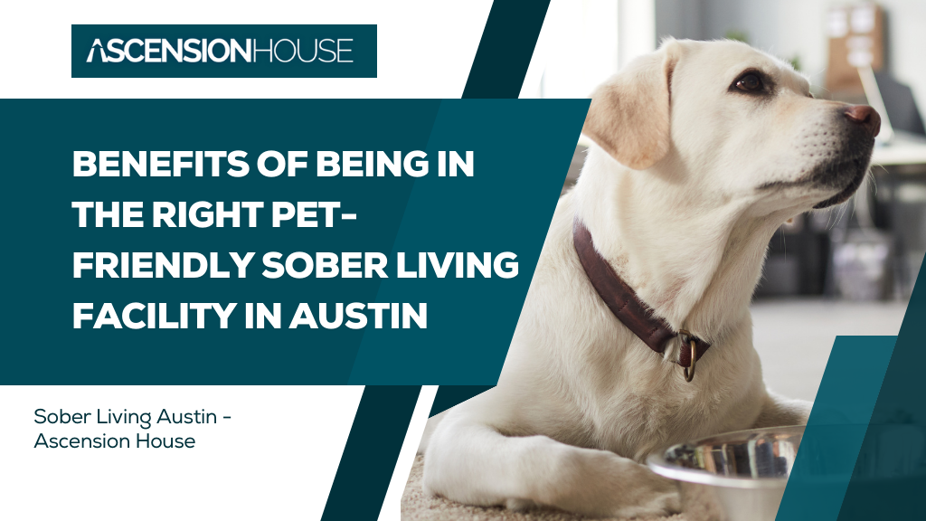 Life After Addiction: Sober Living with Pets - Pets Can Go