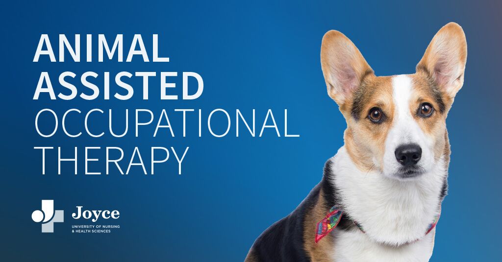 Animal-Assisted Therapy Benefits for Dementia & Cognitive Health for ...