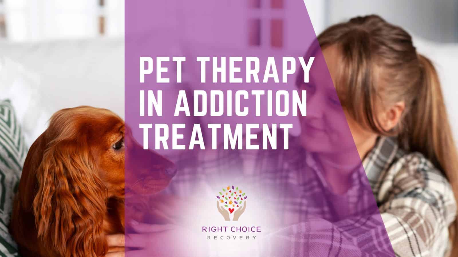 Different Animal-Assisted Intervention for Addiction Rehab & Recovery ...